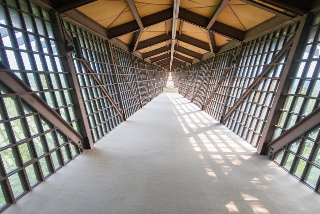 Check out 8 of the world’s wonderful glass bridges – Golf Vertex